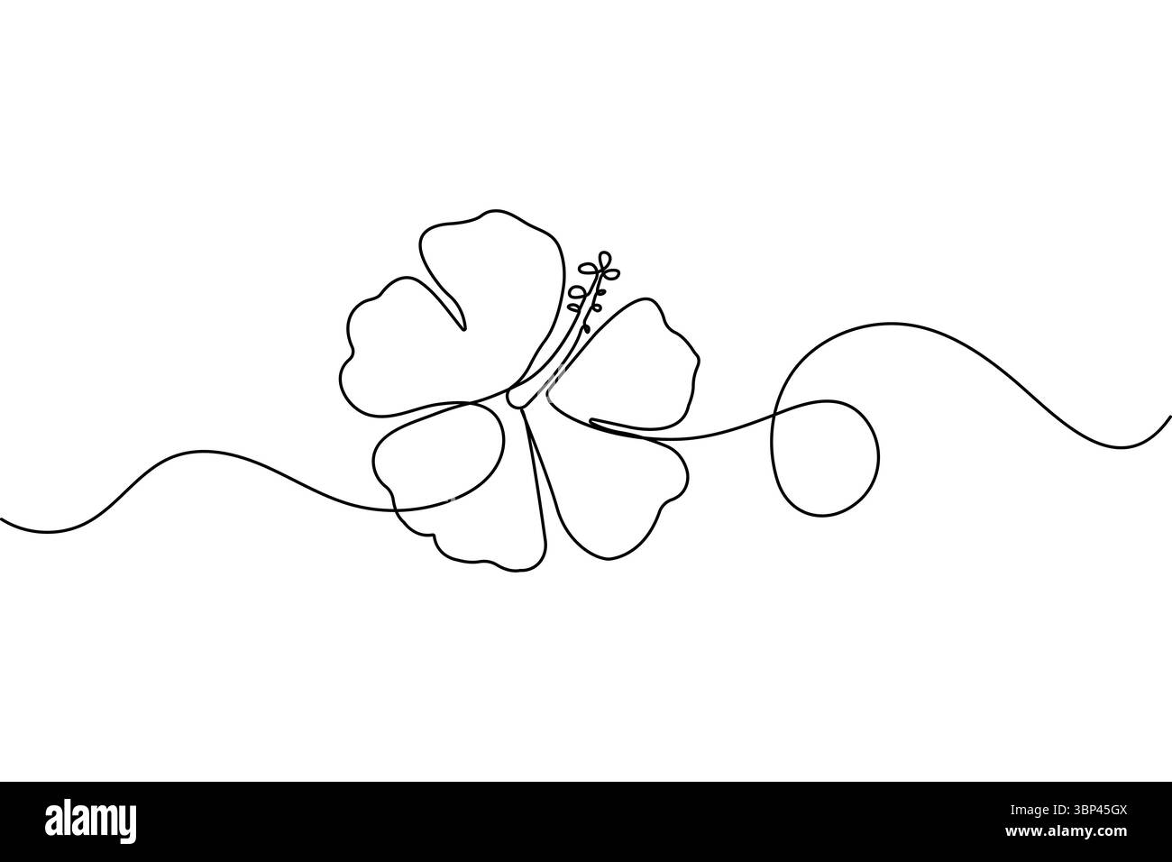 Hibiscus flower one line drawing minimalist vector illustration Stock ...