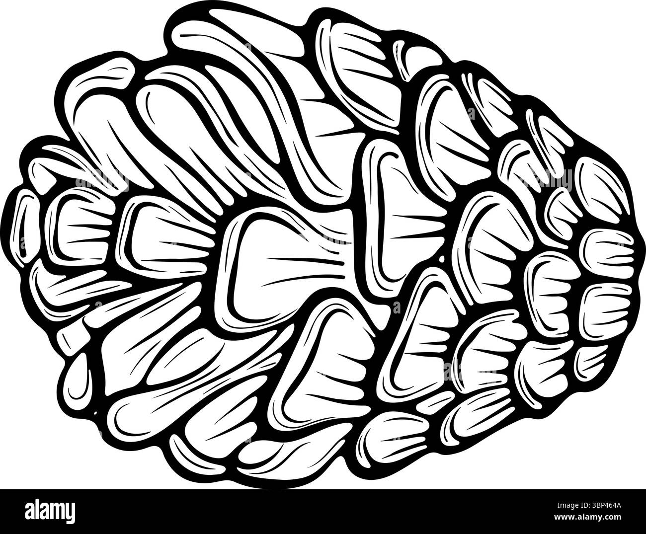 Close up sideways view Stock Vector Images - Alamy