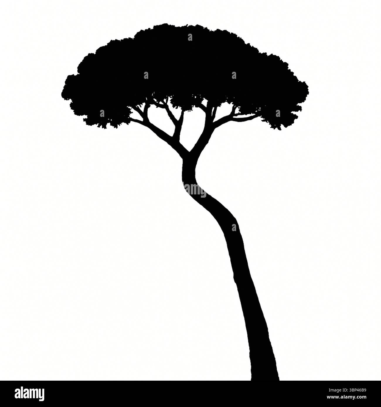 Silhouette of Curved Tree with Dense Foliage in Minimalist Style Stock ...