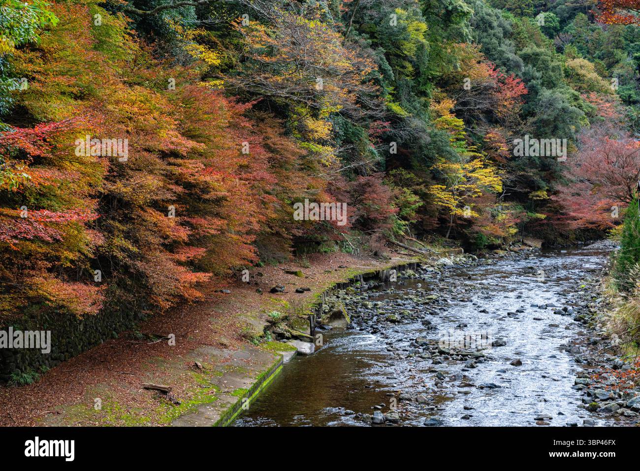 Scenic sight in Takao during fall season. Ukyo ward, Kyoto, Japan Stock ...