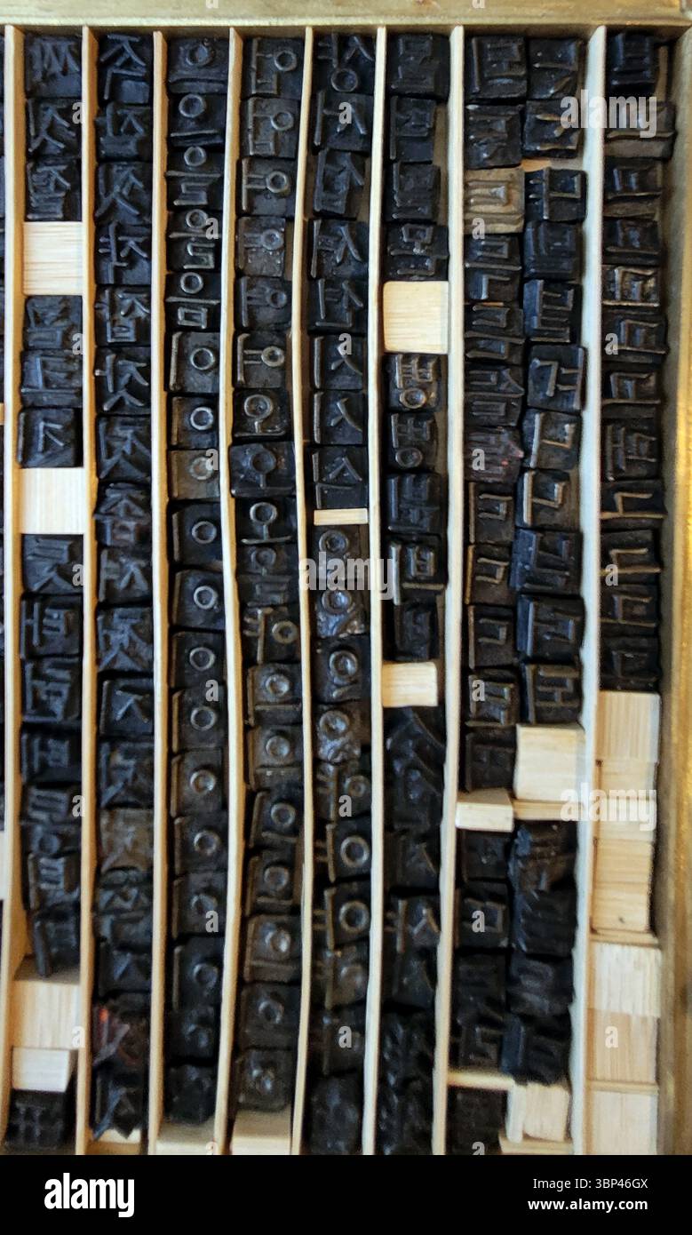 movable type scripts