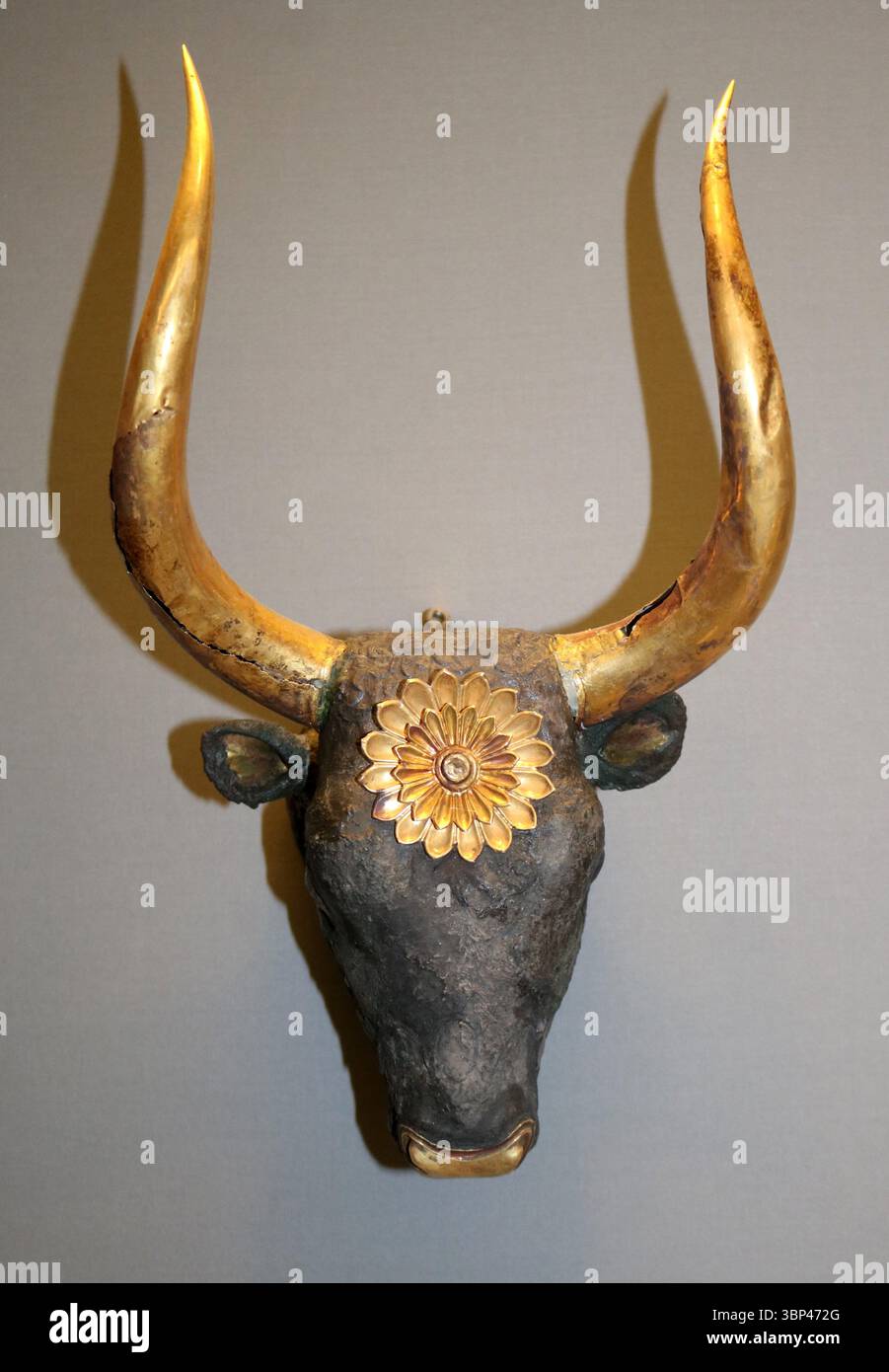 A photograph of a Mycenaean bull's head rhyton with gold horns. Found ...