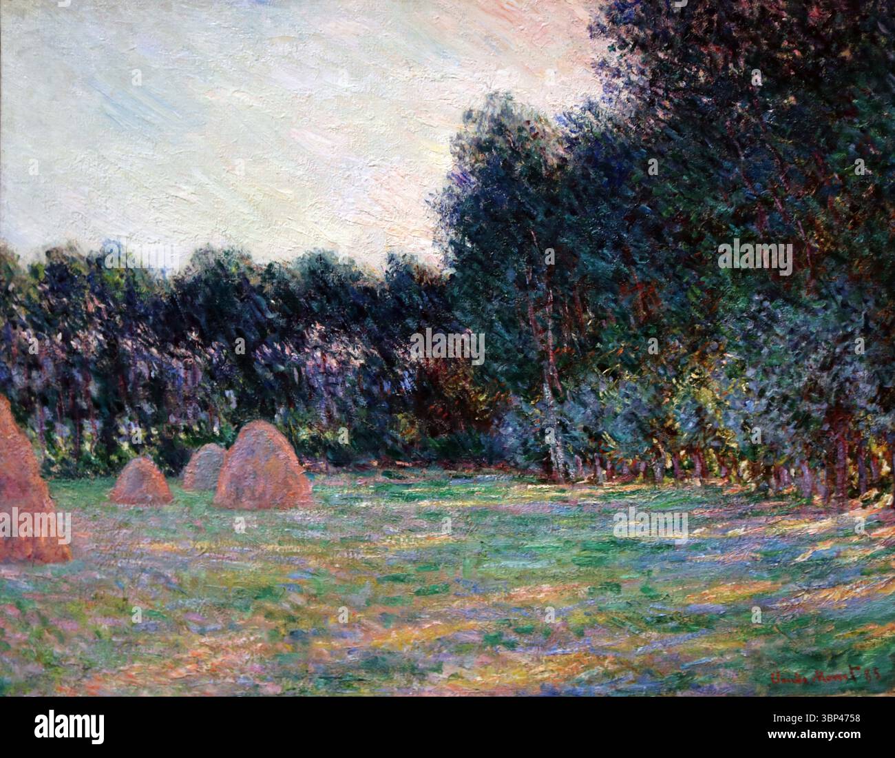 Haystacks in meadow among trees hi-res stock photography and images - Alamy