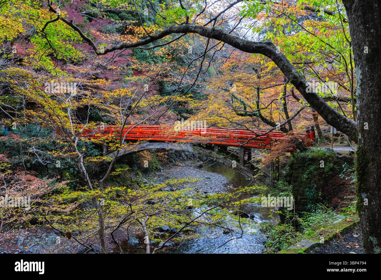 Scenic sight in Takao during fall season. Ukyo ward, Kyoto, Japan Stock ...