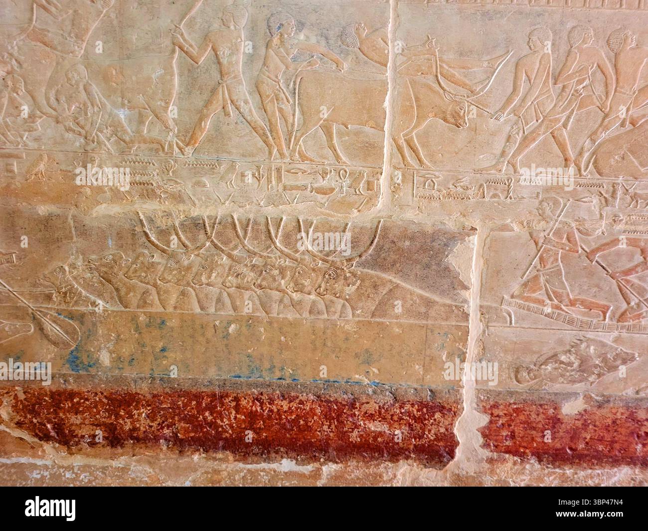 A photograph of a relief within the tomb of Unas, built in the 24th ...