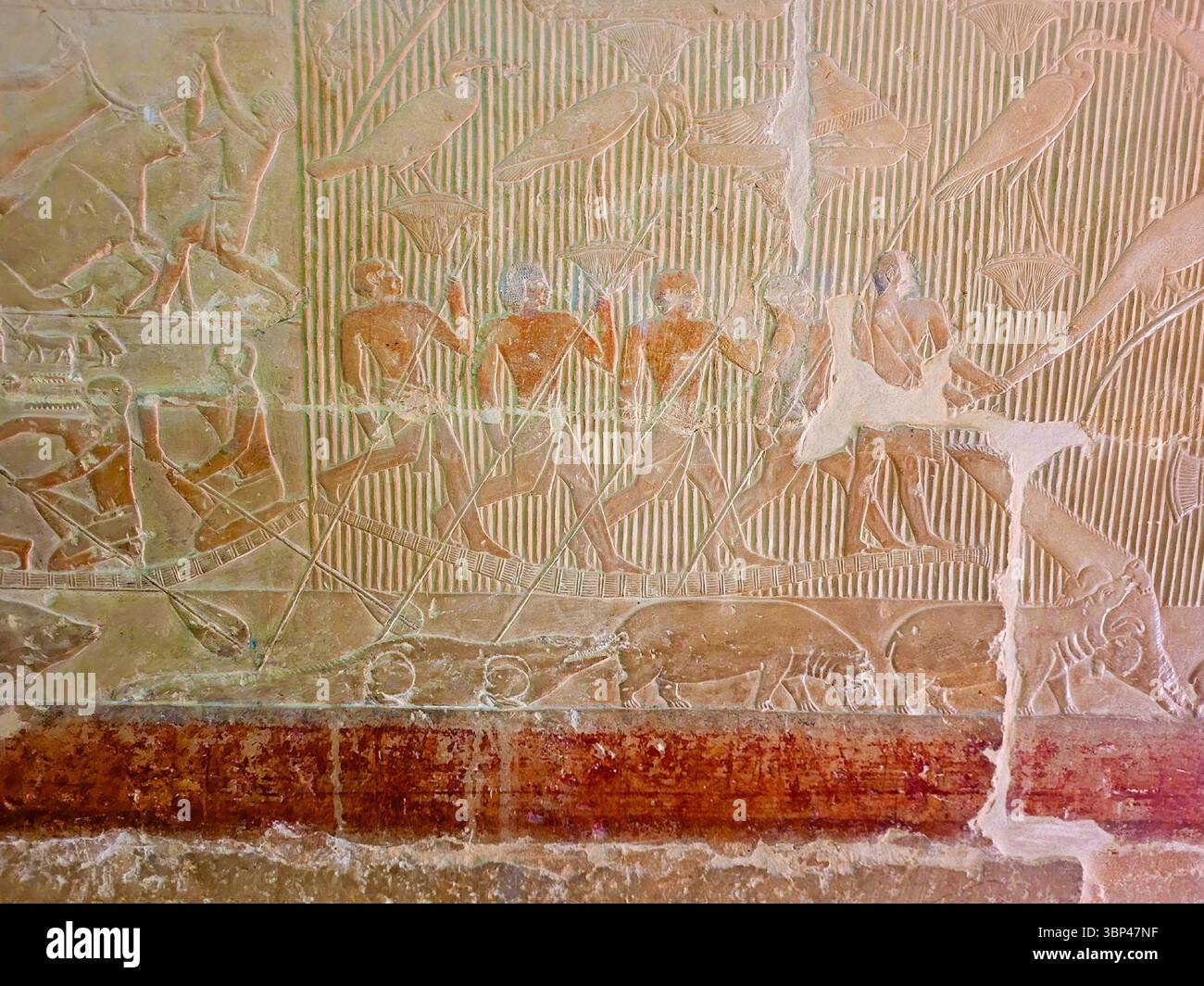 A photograph of a relief within the tomb of Unas, built in the 24th ...