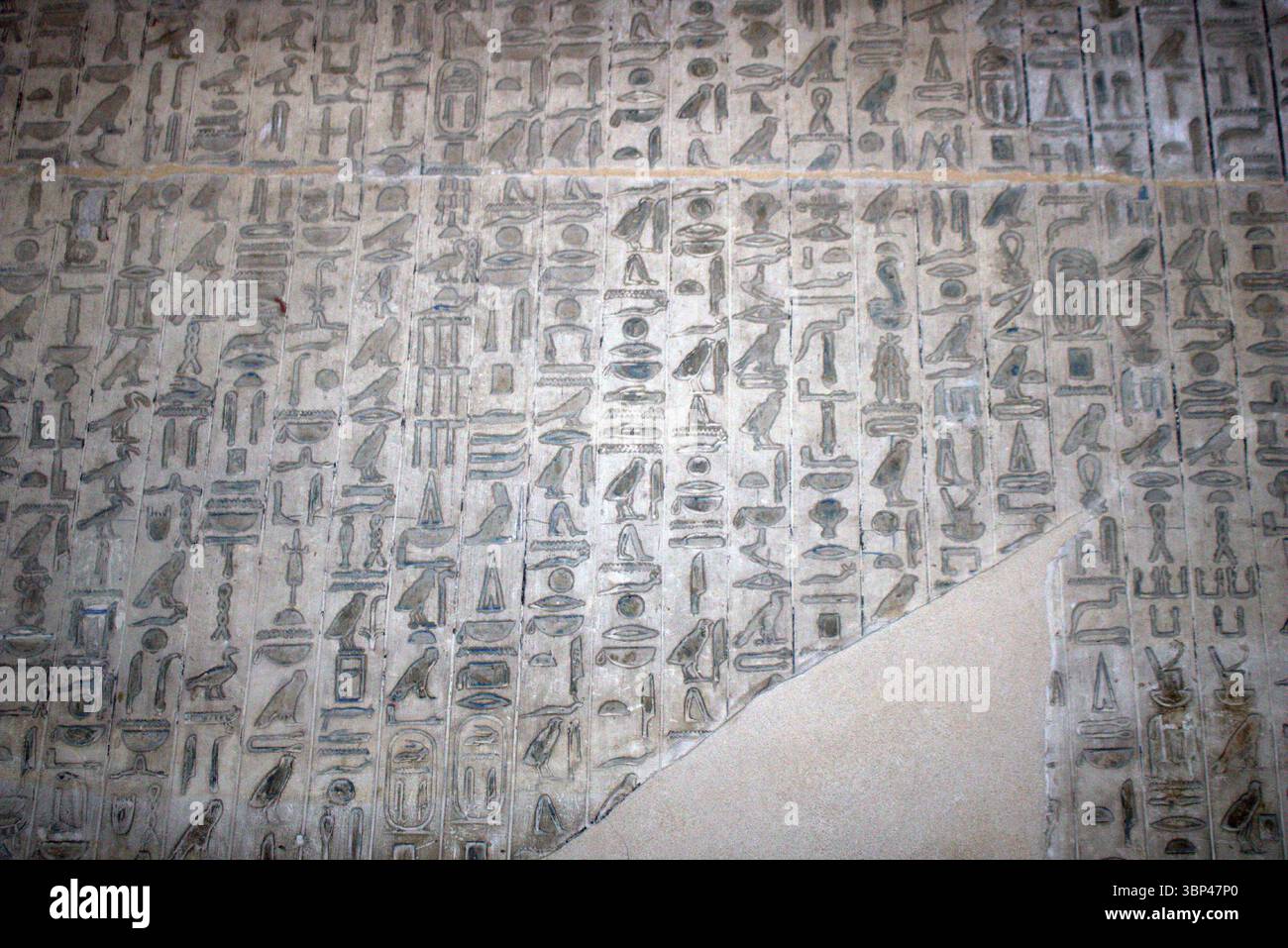 A photograph of a relief within the tomb of Unas, built in the 24th ...