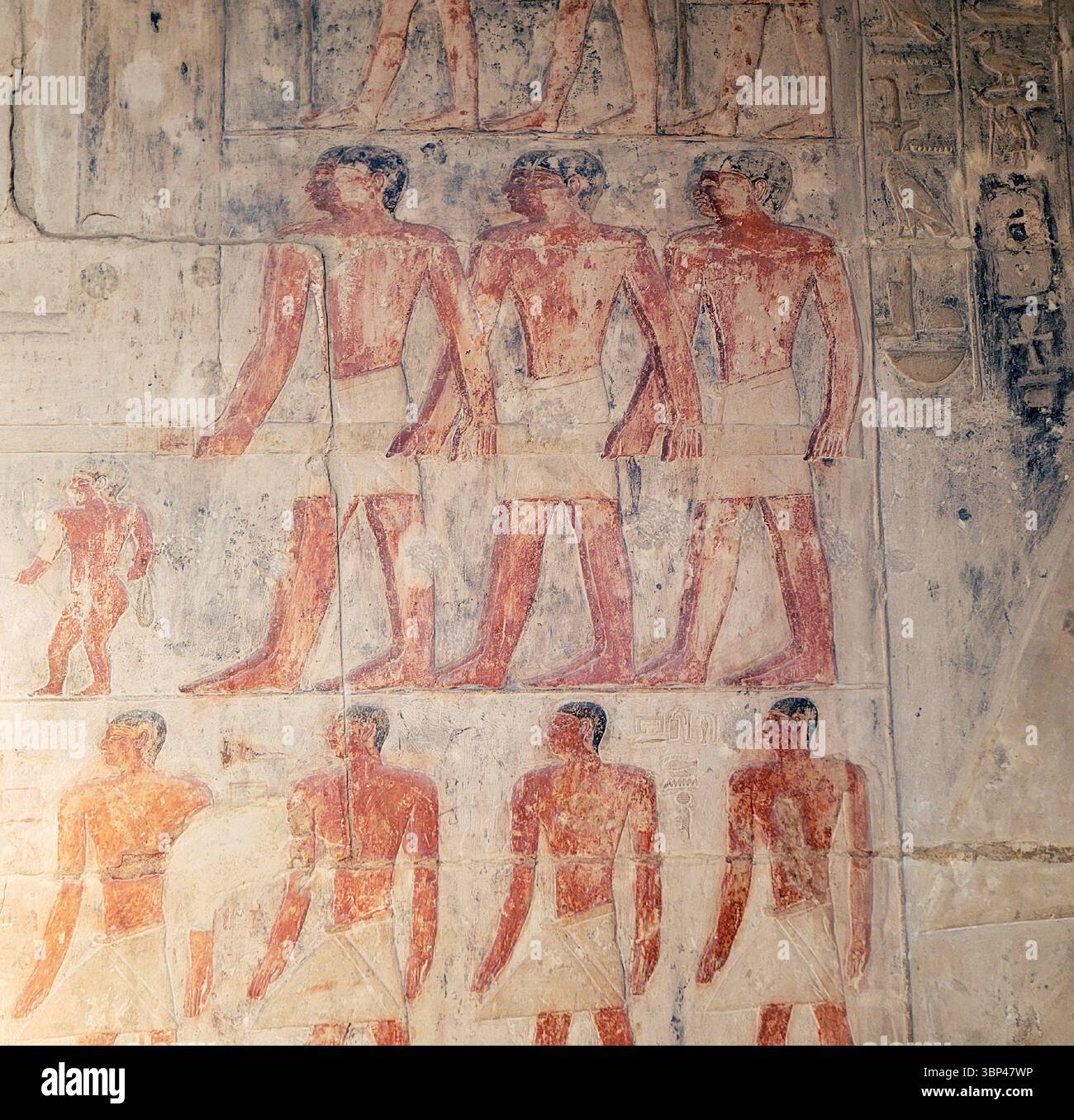 A photograph of a relief within the tomb of Unas, built in the 24th ...