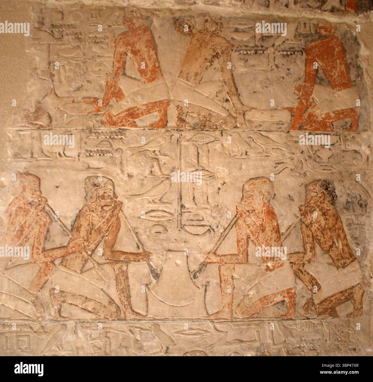 A photograph of a relief within the tomb of Unas, built in the 24th ...