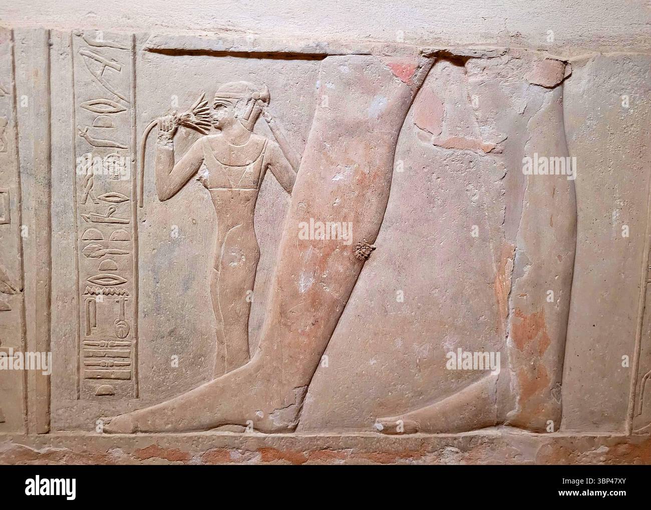A photograph of a relief within the tomb of Unas, built in the 24th ...