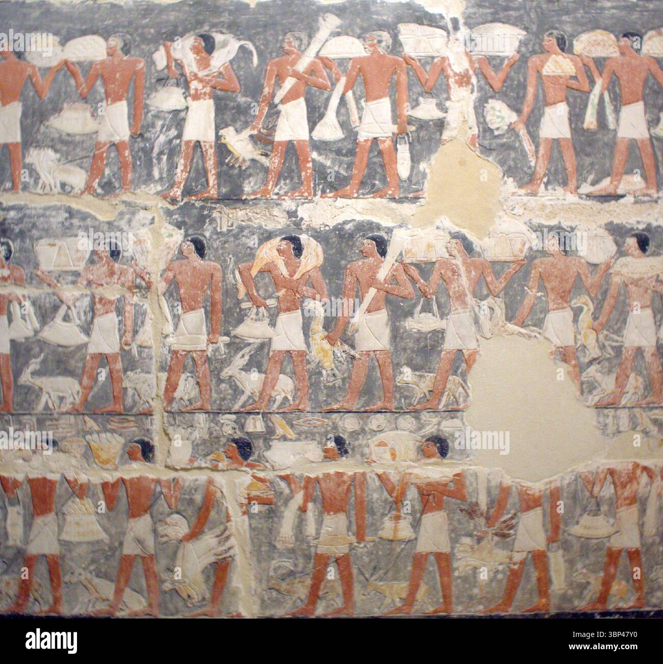 A photograph of a relief within the tomb of Unas, built in the 24th ...