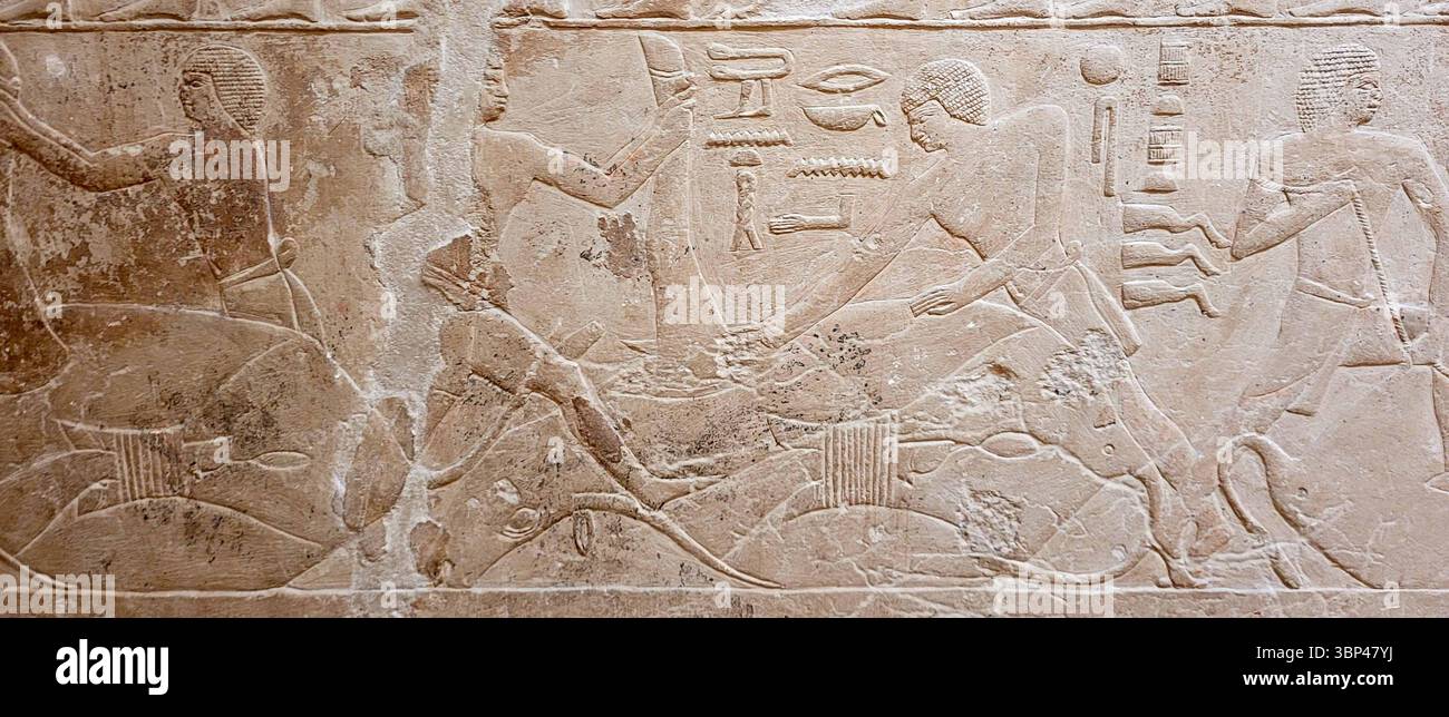 A photograph of a fowling or fishing scene relief from the Mastaba of ...