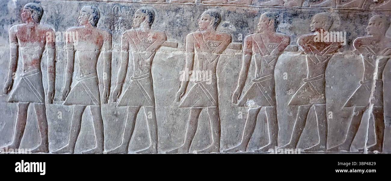 A photograph of a procession relief from the Mastaba of Mereruka in ...