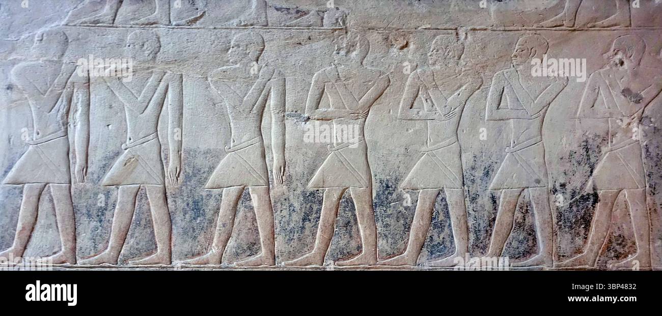 A photograph of a procession relief from the Mastaba of Mereruka in ...