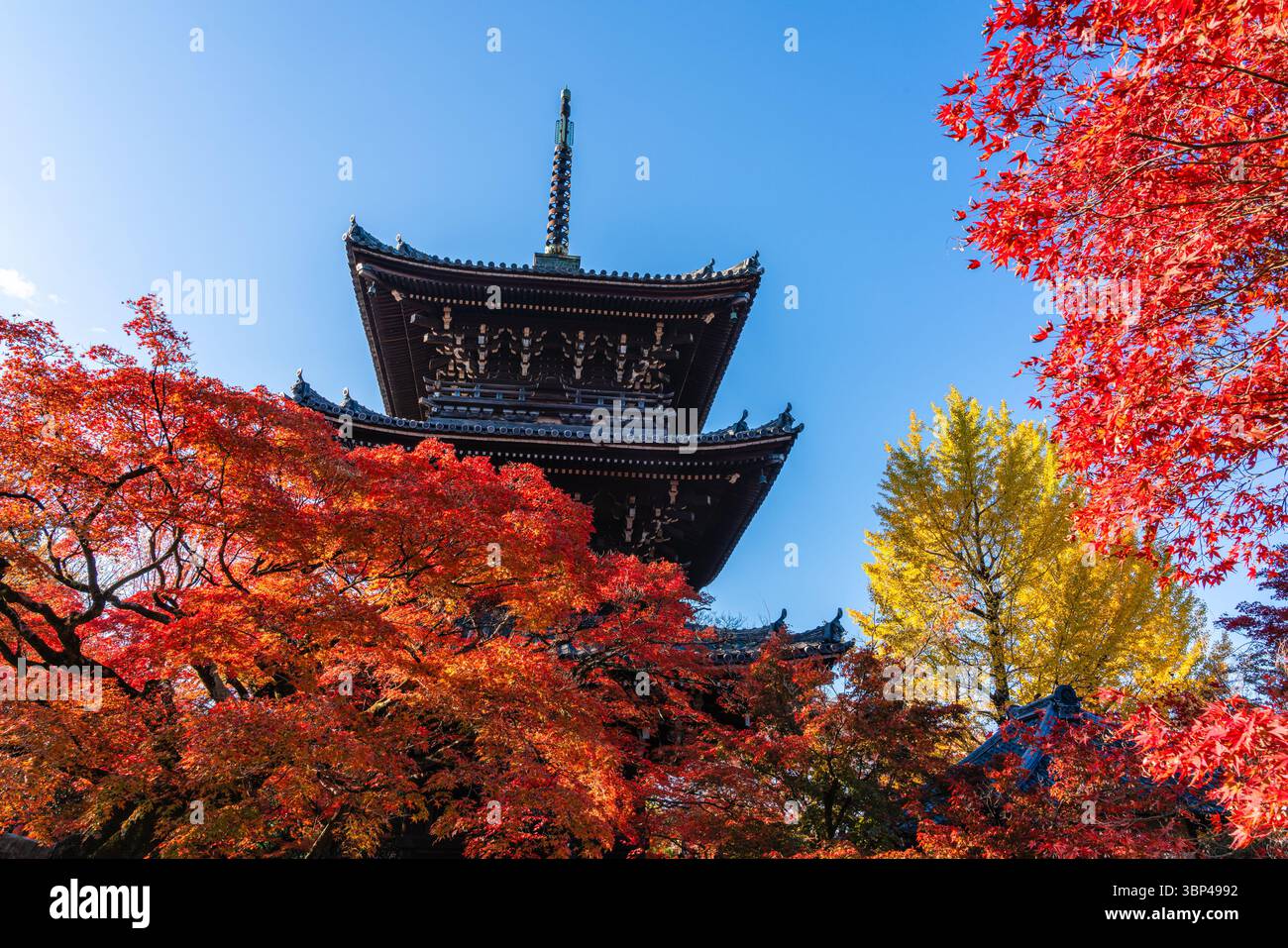 The beautiful Shinsho Gokurakuji Temple on a sunny morning during fall ...