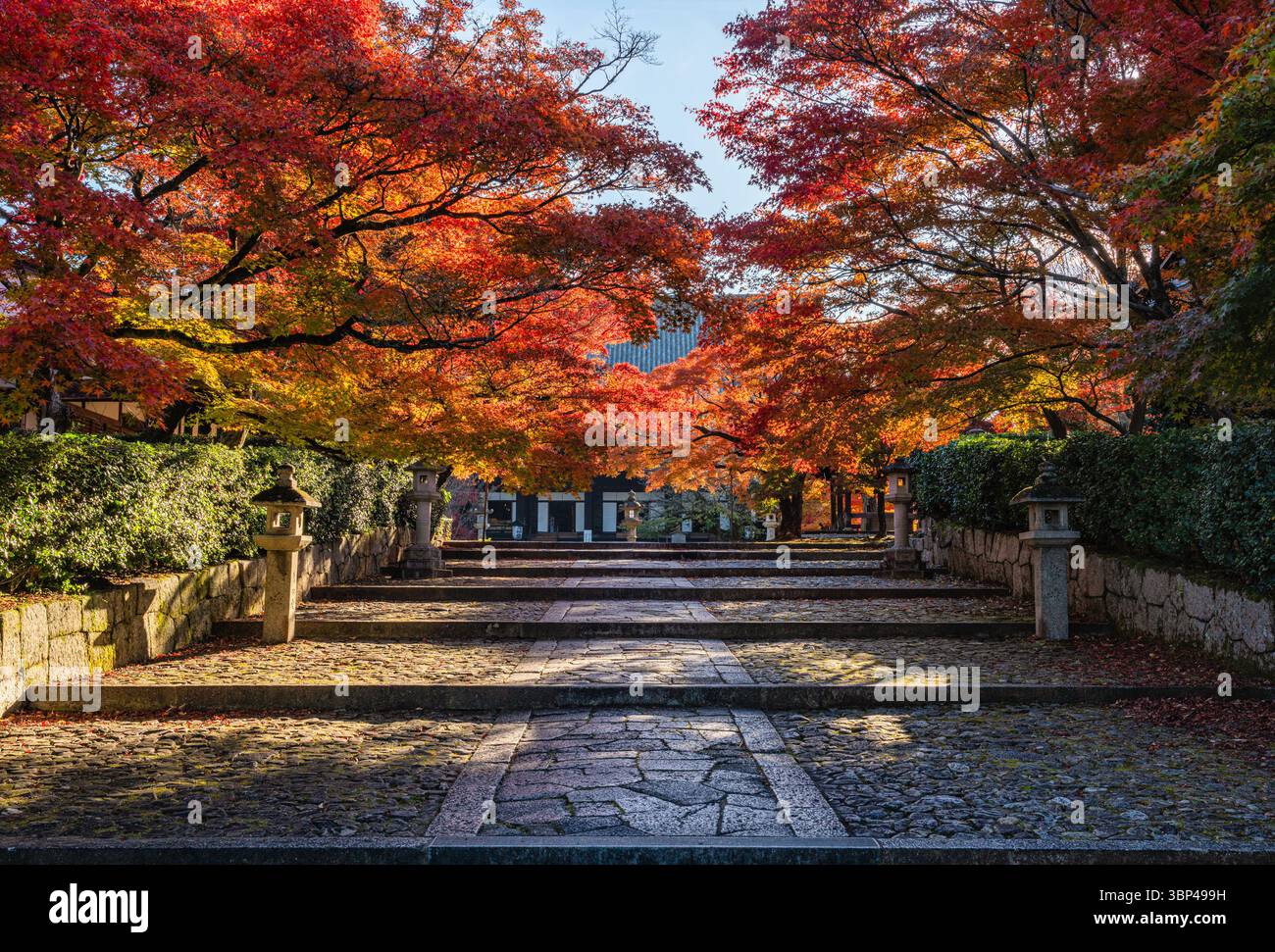 The beautiful Shinsho Gokurakuji Temple on a sunny morning during fall ...