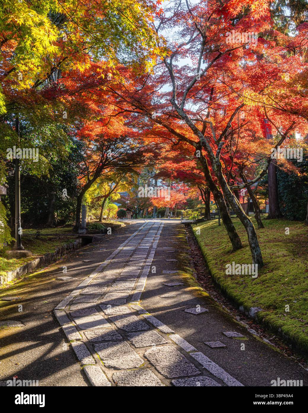 The beautiful Shinsho Gokurakuji Temple on a sunny morning during fall ...