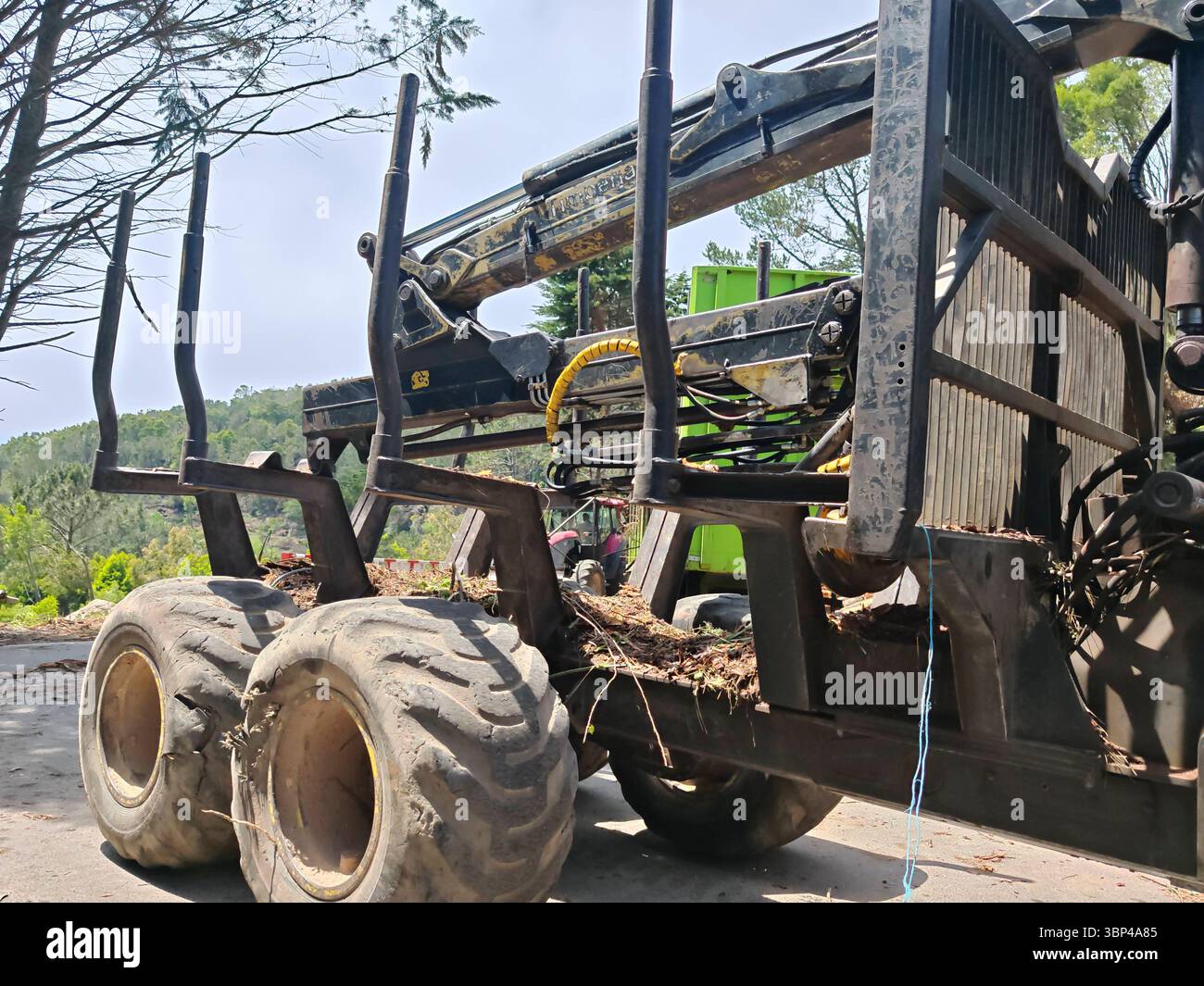 Loading of wood from the forest onto the rail for further transport ...