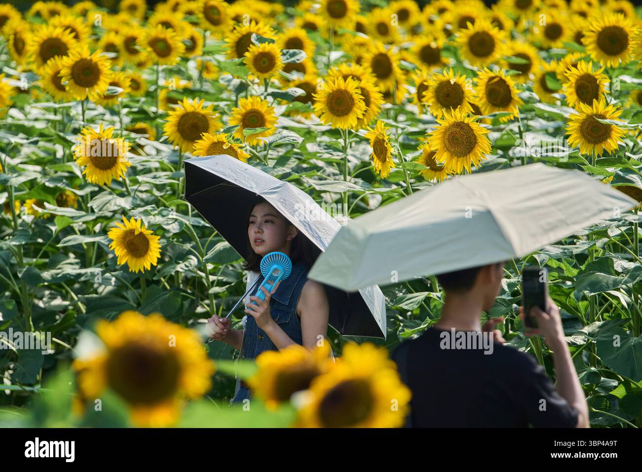 A woman carries an umbrella and cools herself with a portable electric ...