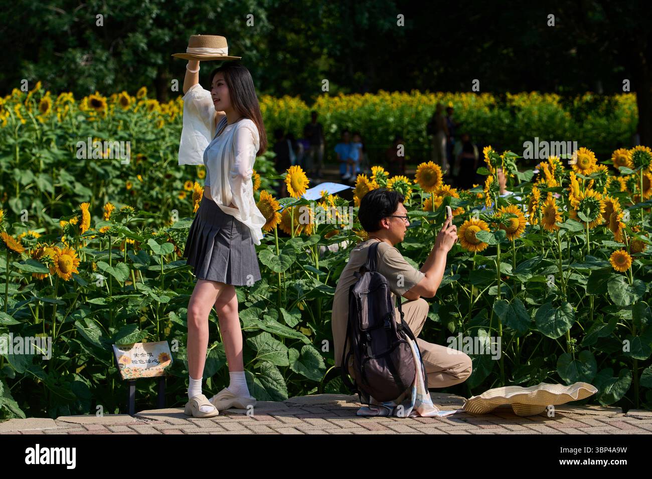 A woman poses next to a man takes a smartphone photo of the blooming ...