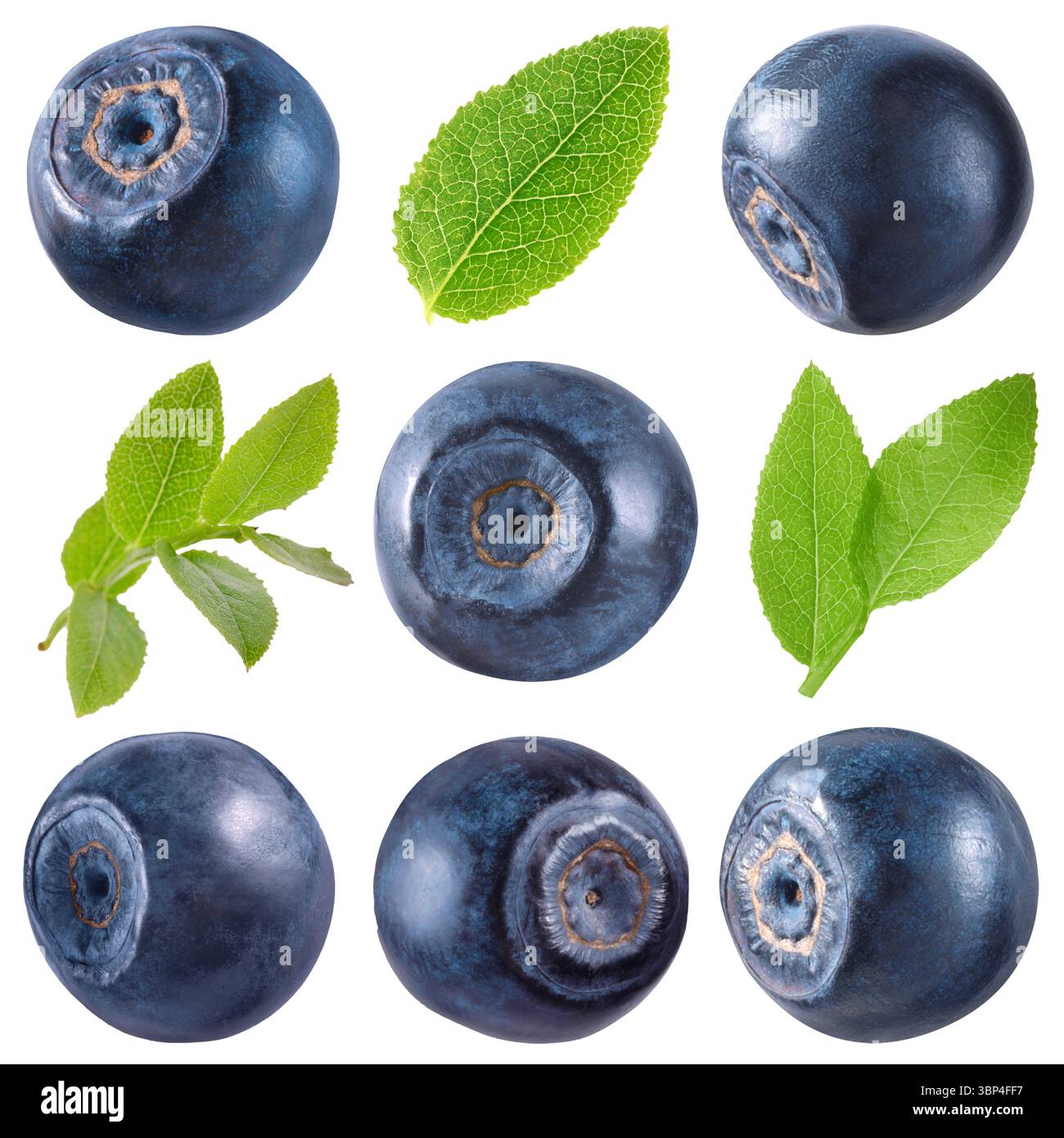 Fresh bilberries and green leaves isolated on white, set Stock Photo ...