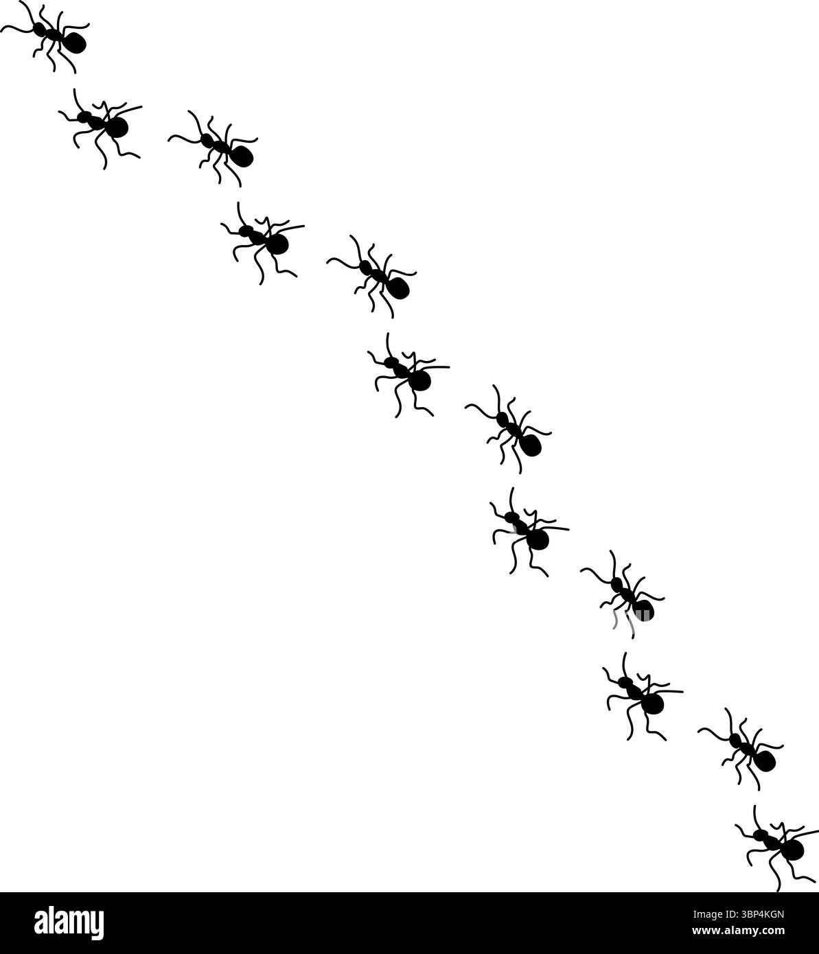 Silhouettes of ants marching in neat lines, showcasing teamwork and ...