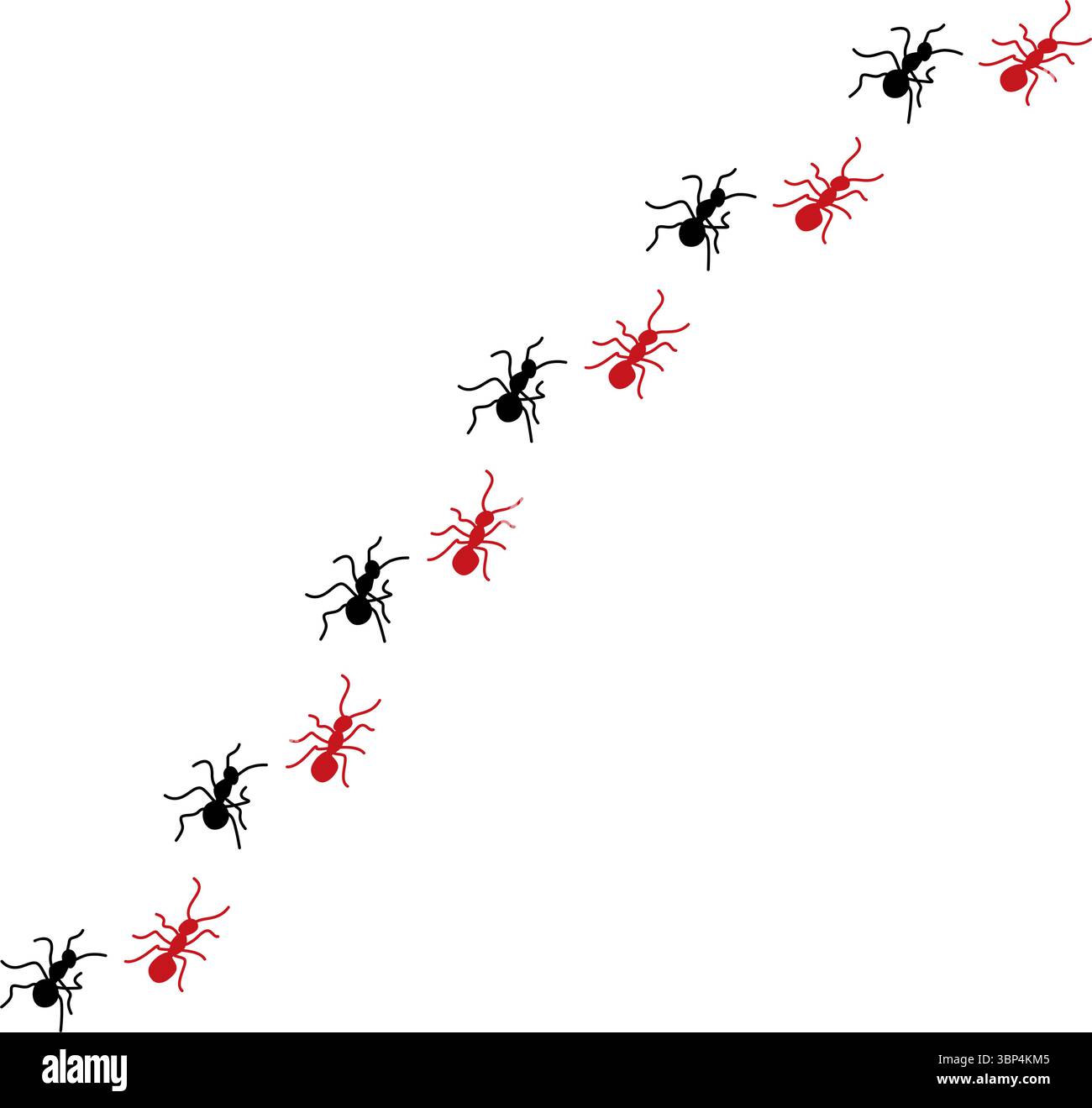 Silhouettes of ants marching in neat lines, showcasing teamwork and ...