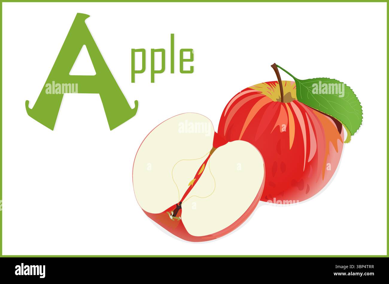 Alphabet card for children with the letter A and an apple. Educational ...
