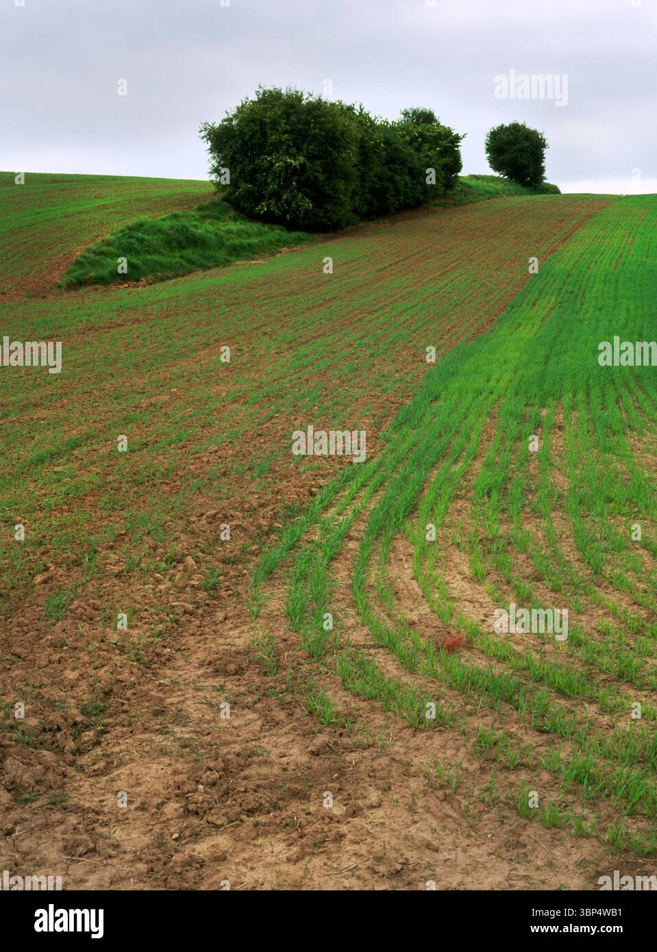 Medieval farming hi-res stock photography and images - Alamy