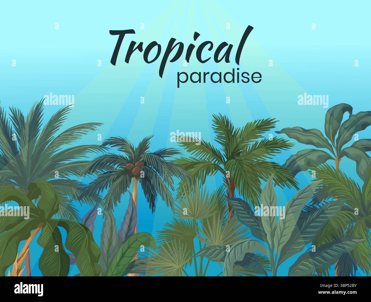 Botanical background green palm Stock Vector Images - Alamy