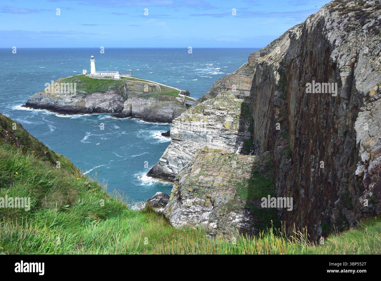 The bird colonies and the South Stack Light house Stock Photo - Alamy