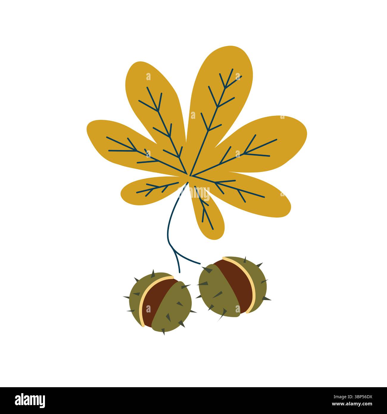 Chestnut autumn leaf on Stock Vector Images - Alamy