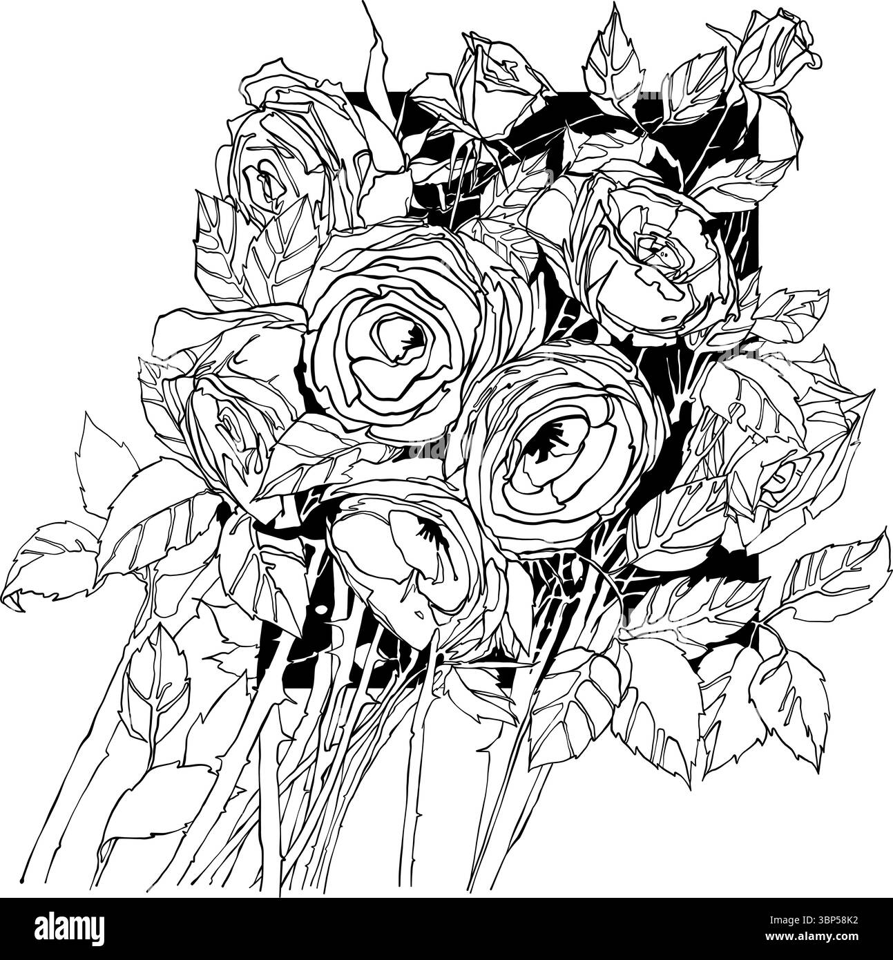 Elegant rose flower line drawing illustration Stock Vector Image & Art - Alamy