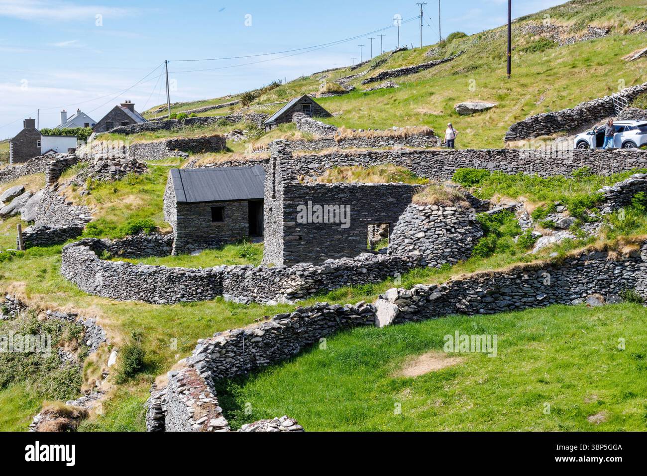 Couminoole, Dingle Peninsula, County Kerry, Republic of Ireland.. Field ...