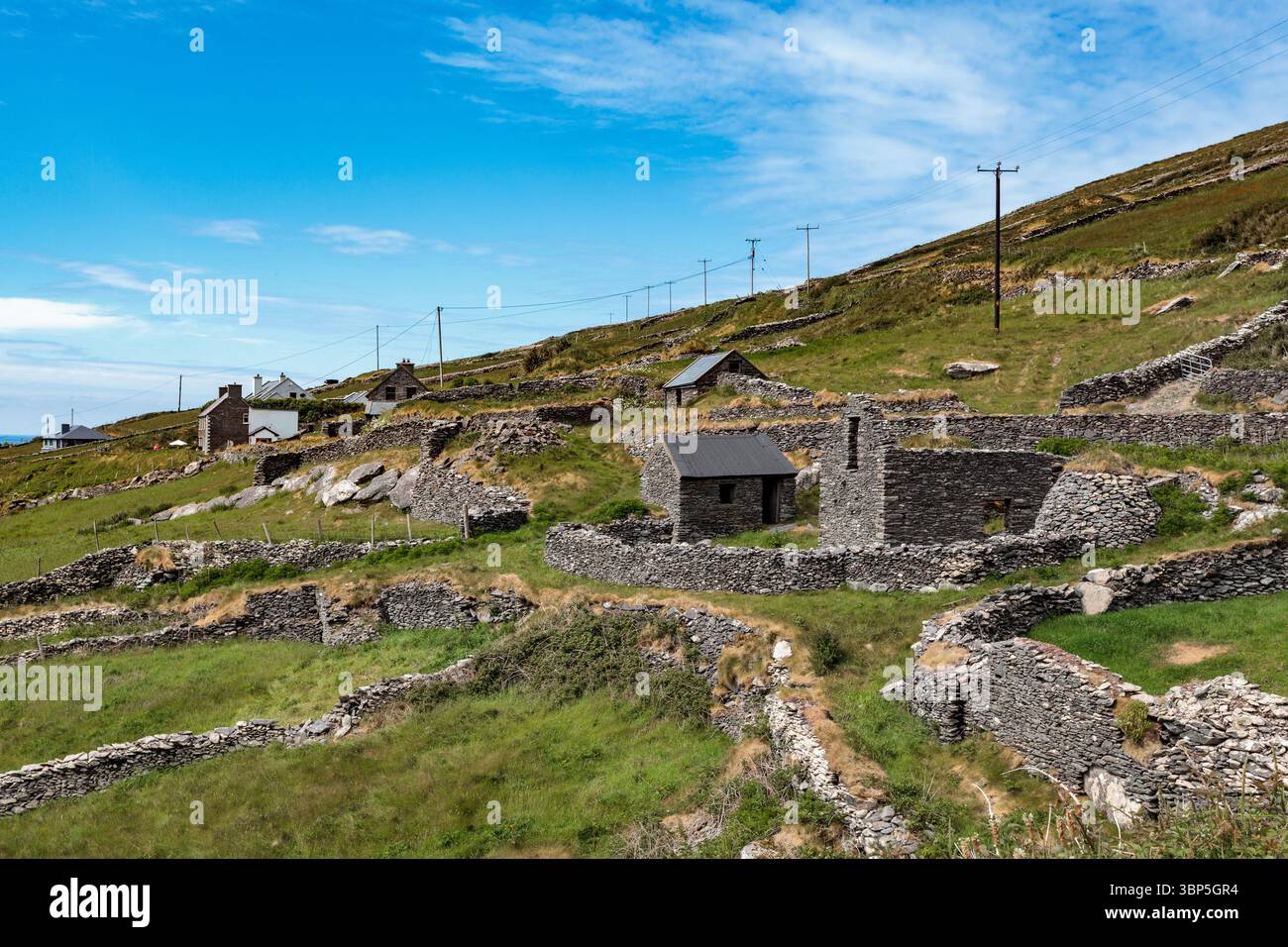 Couminoole, Dingle Peninsula, County Kerry, Republic of Ireland.. Field ...