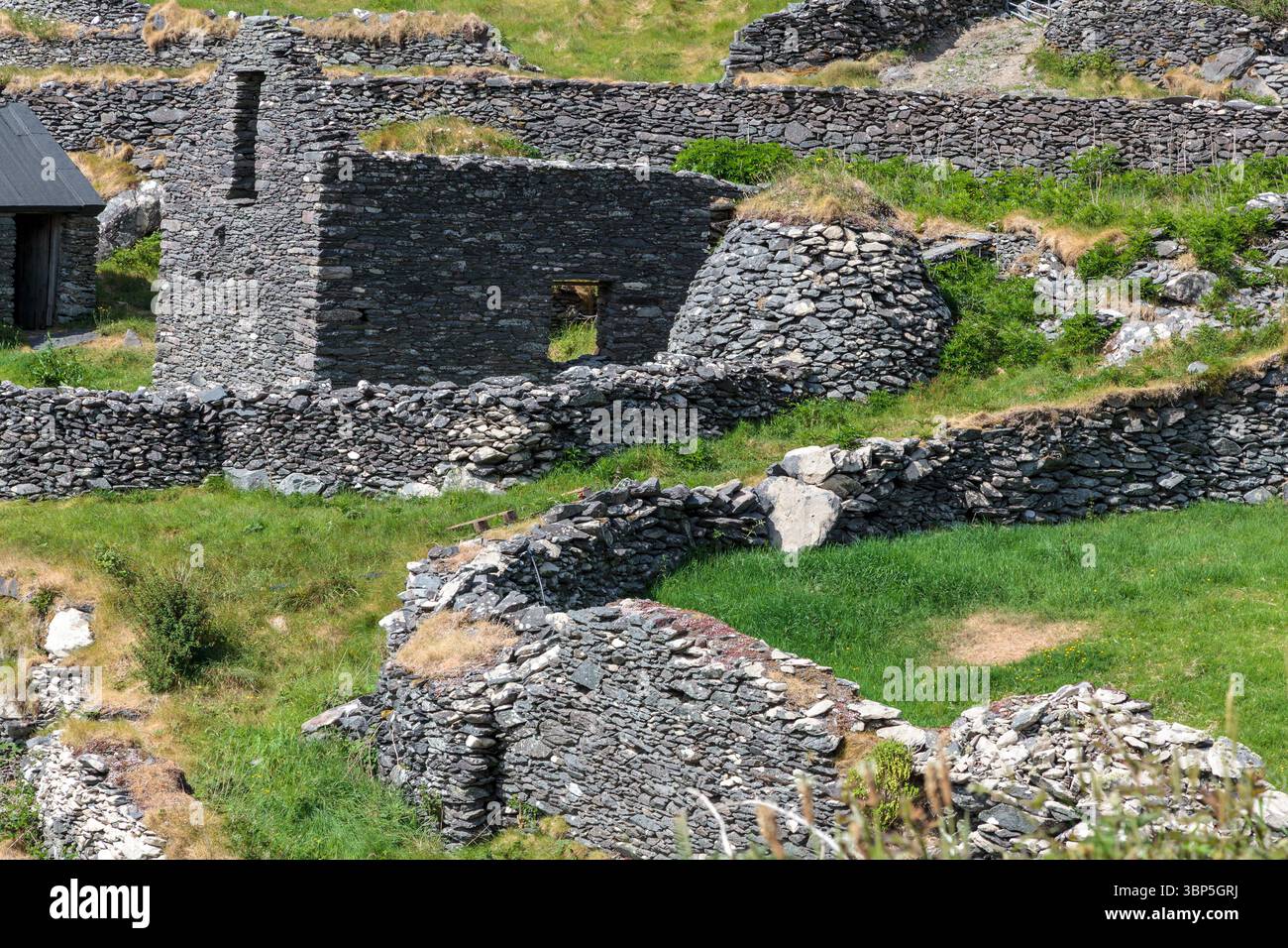Couminoole, Dingle Peninsula, County Kerry, Republic of Ireland.. Field ...