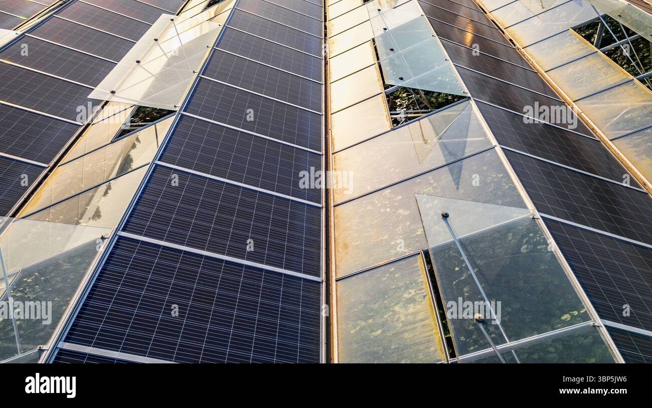 Sustainable greenhouse with rooftop solar panels bathed in morning ...