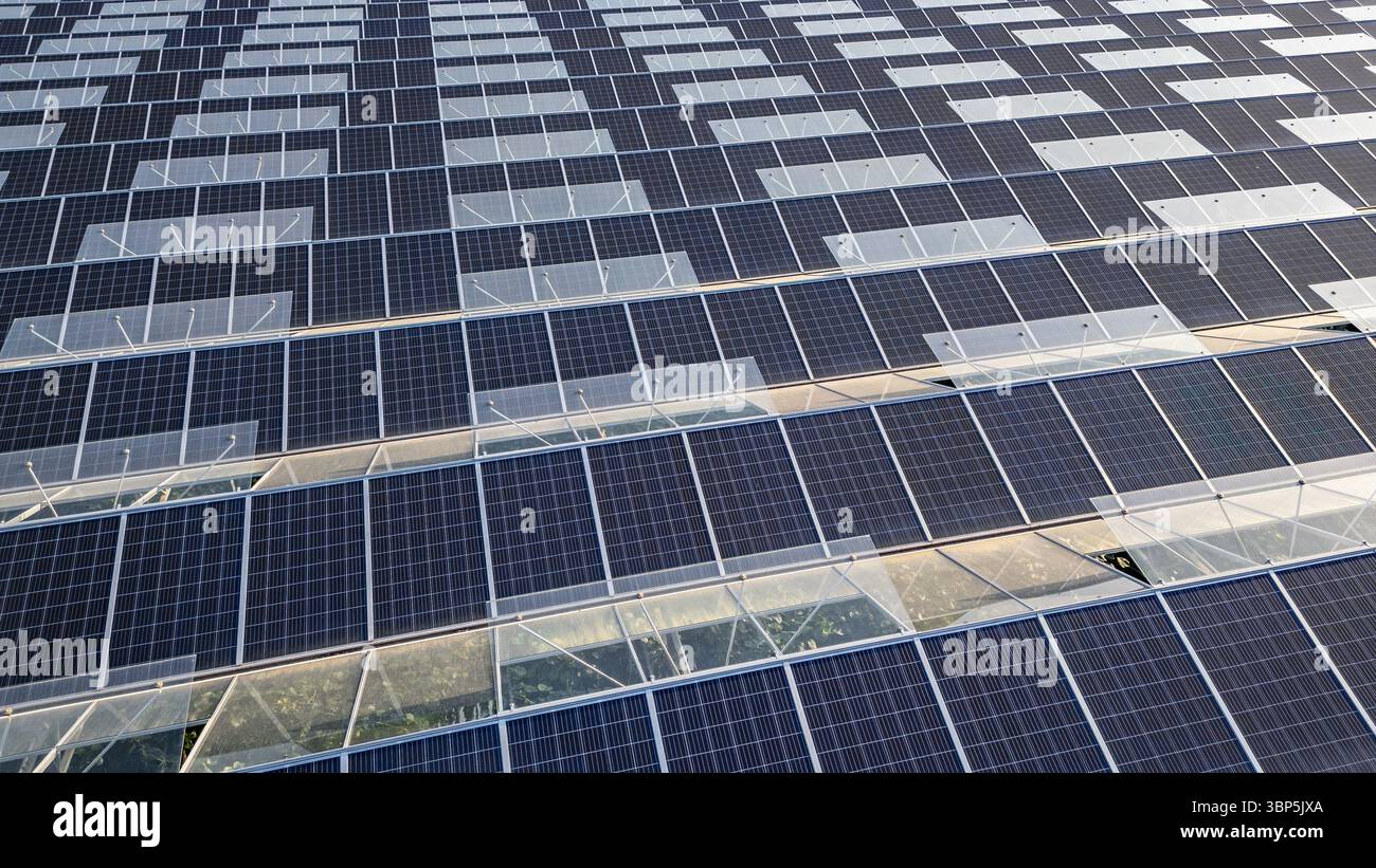 Sustainable greenhouse with rooftop solar panels bathed in morning ...