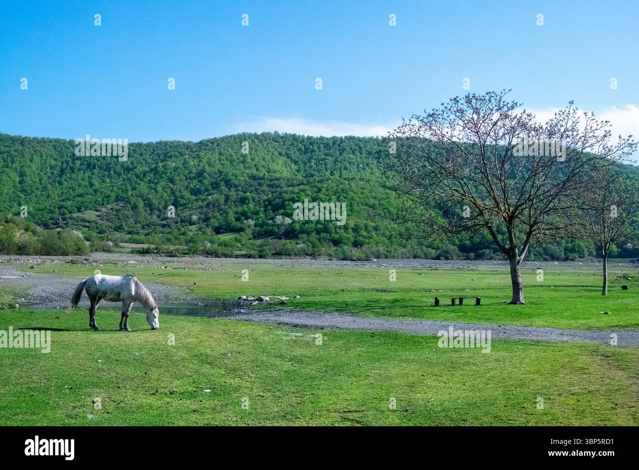 Traditional Rural Farming Scene in Pankisi Gorge, Georgia Stock Photo ...