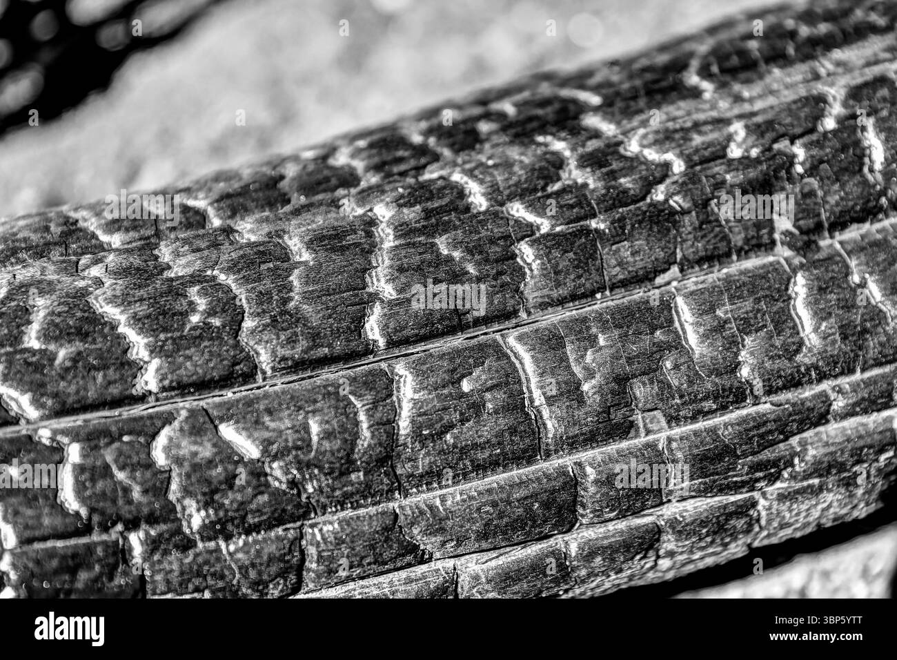 Natural red rock hiking Black and White Stock Photos & Images - Alamy