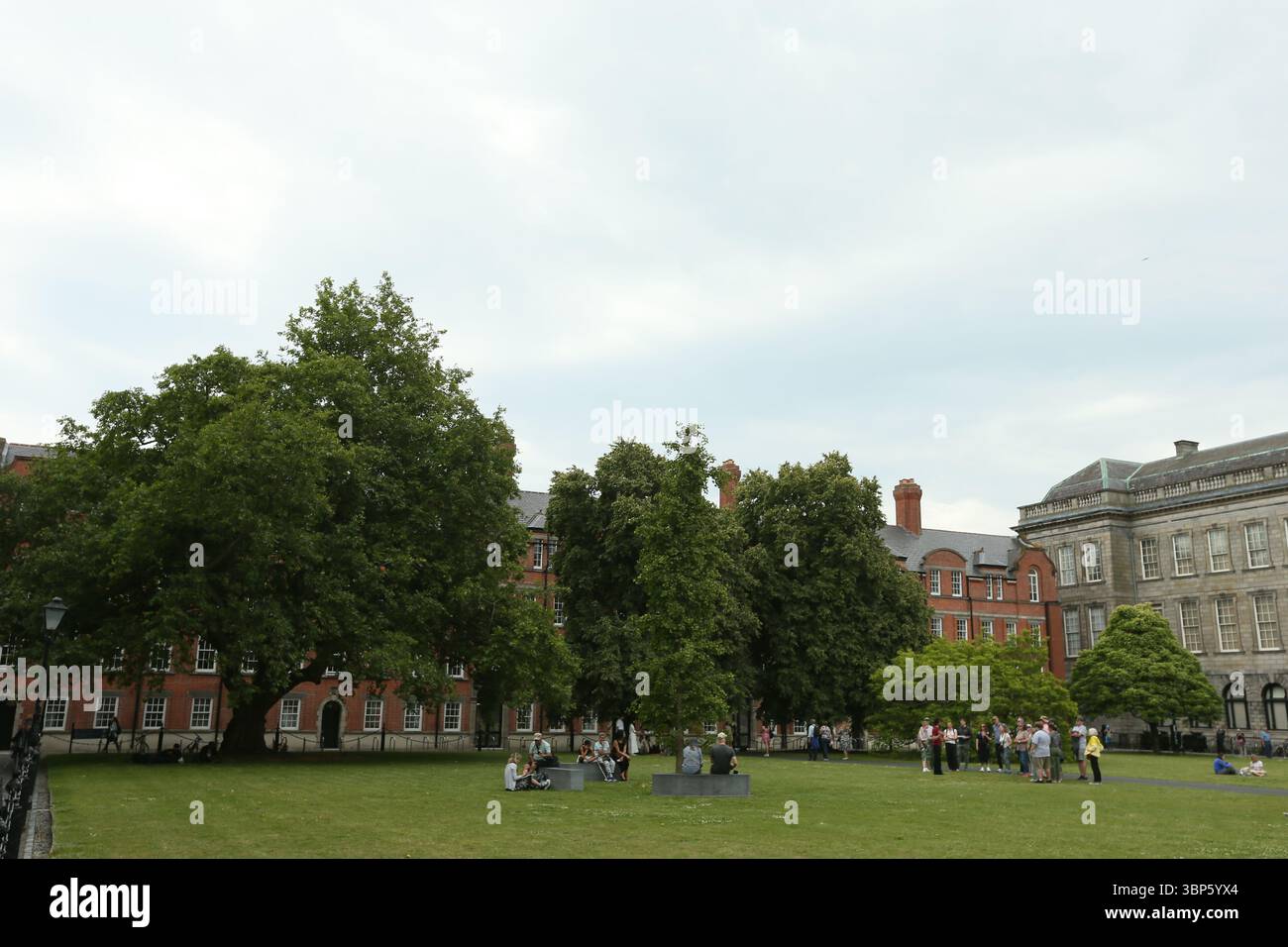 Dublin, Ireland - 20th June 2025 - A view of the grass at Library ...