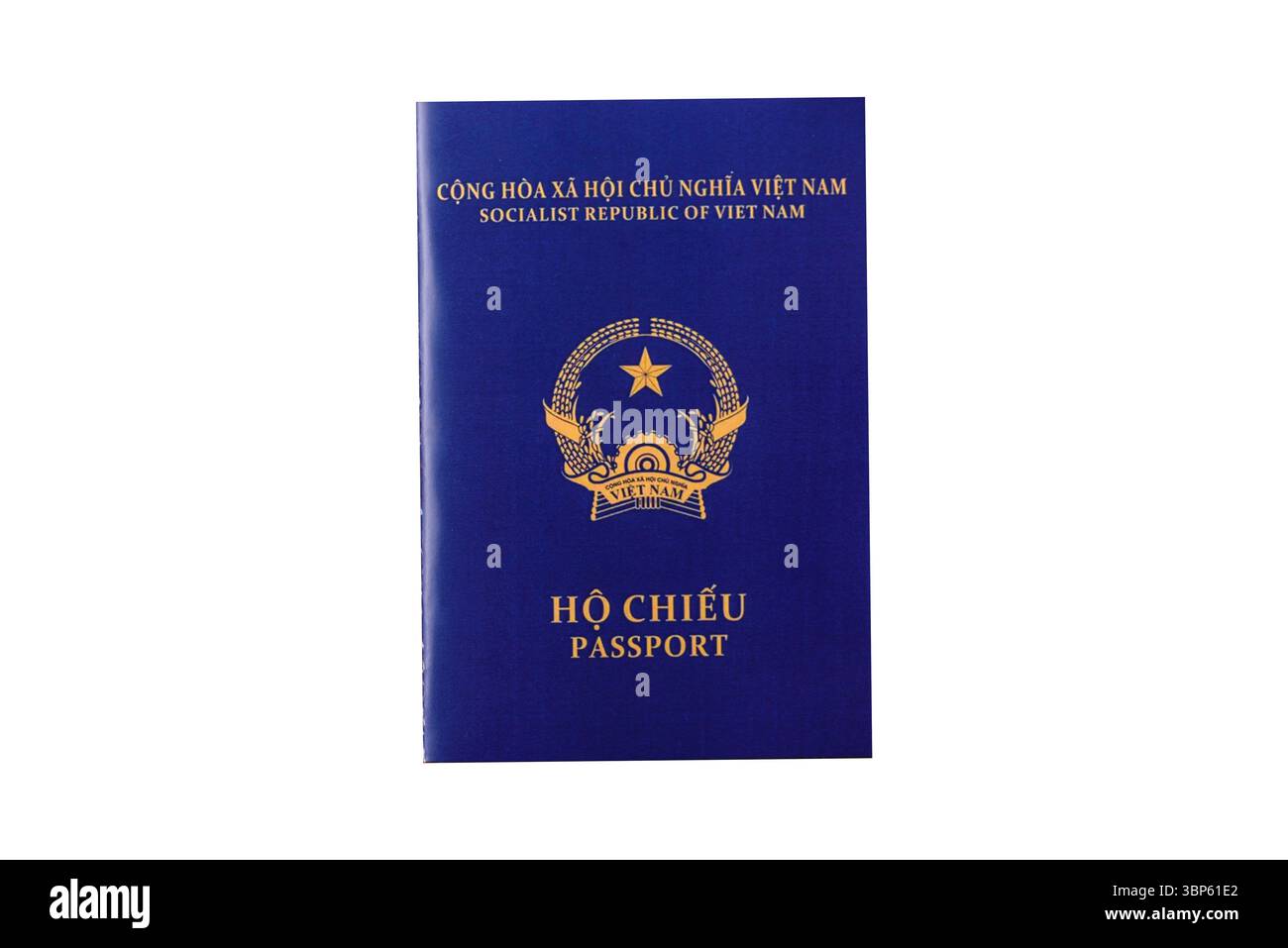 Vietnam passport for travelling, flying and doing business. Vietnamese ...