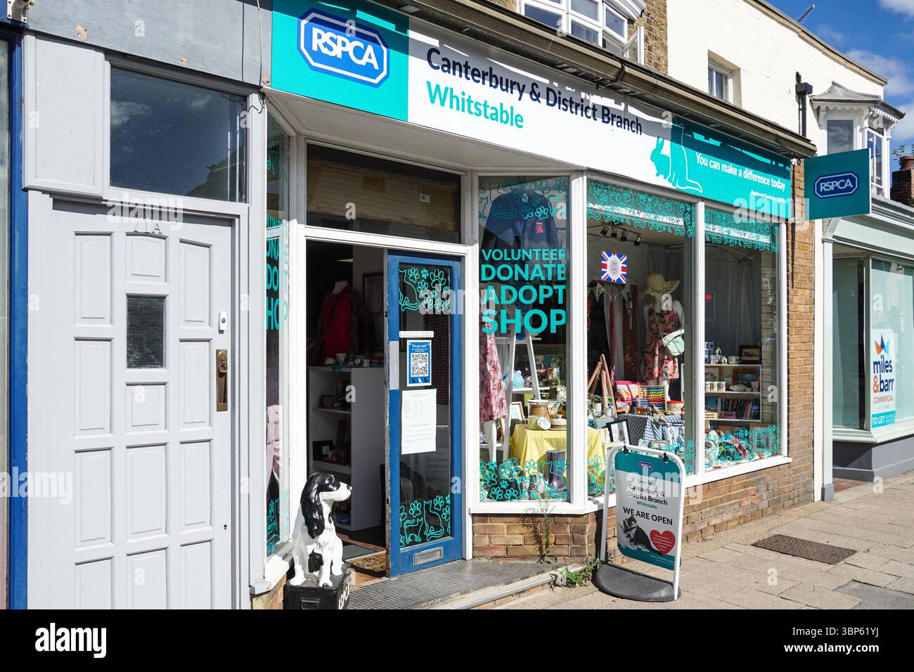 Rspca fundraising shop hi-res stock photography and images - Alamy