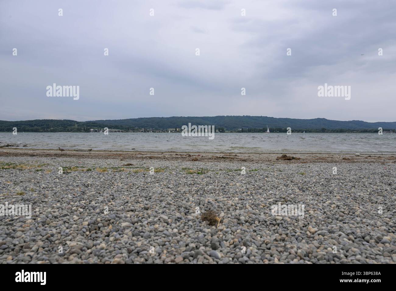 GER, Radolfzell am Bodensee, Wasserstand niedrig, See, Kiesstrand ...