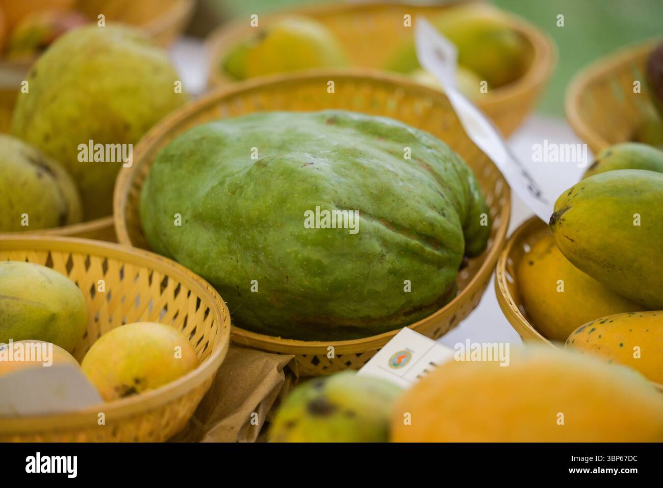 Try new varieties hi-res stock photography and images - Alamy