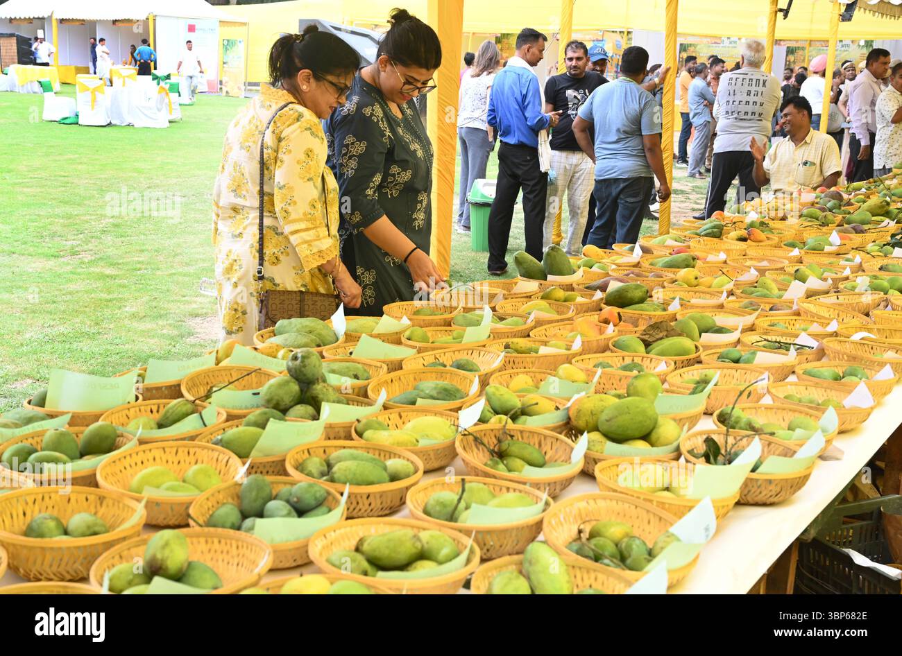 NEW DELHI, INDIA - JULY 5: People look at mangoes during the two day ...