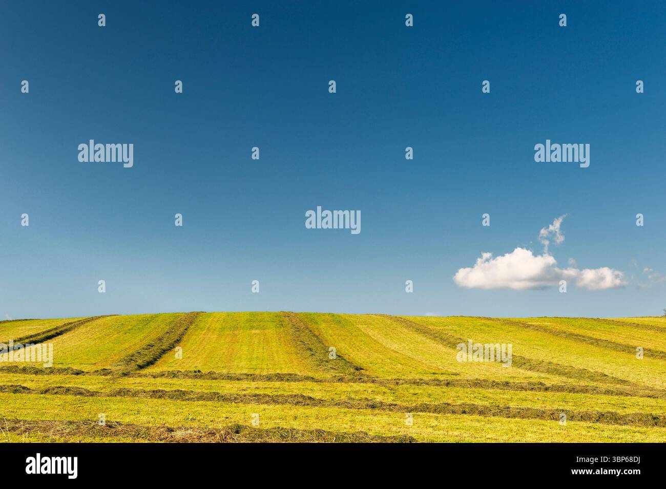 Harvest agricultural farm country hi-res stock photography and images ...