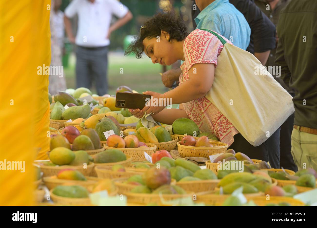 NEW DELHI, INDIA - JULY 5: Varieties of mangoes are displayed at the ...