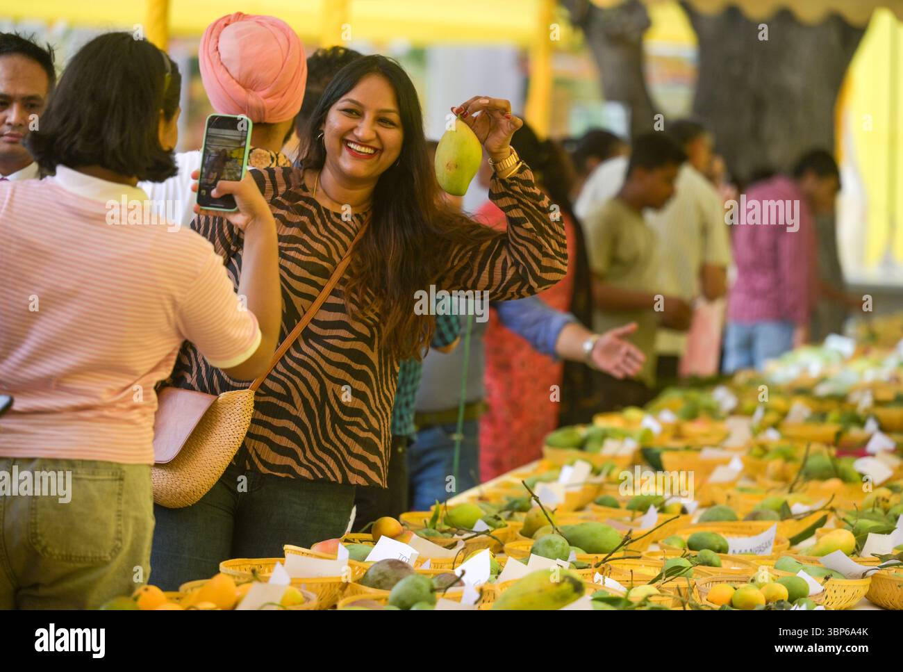 NEW DELHI, INDIA - JULY 5: Varieties of mangoes are displayed at the ...