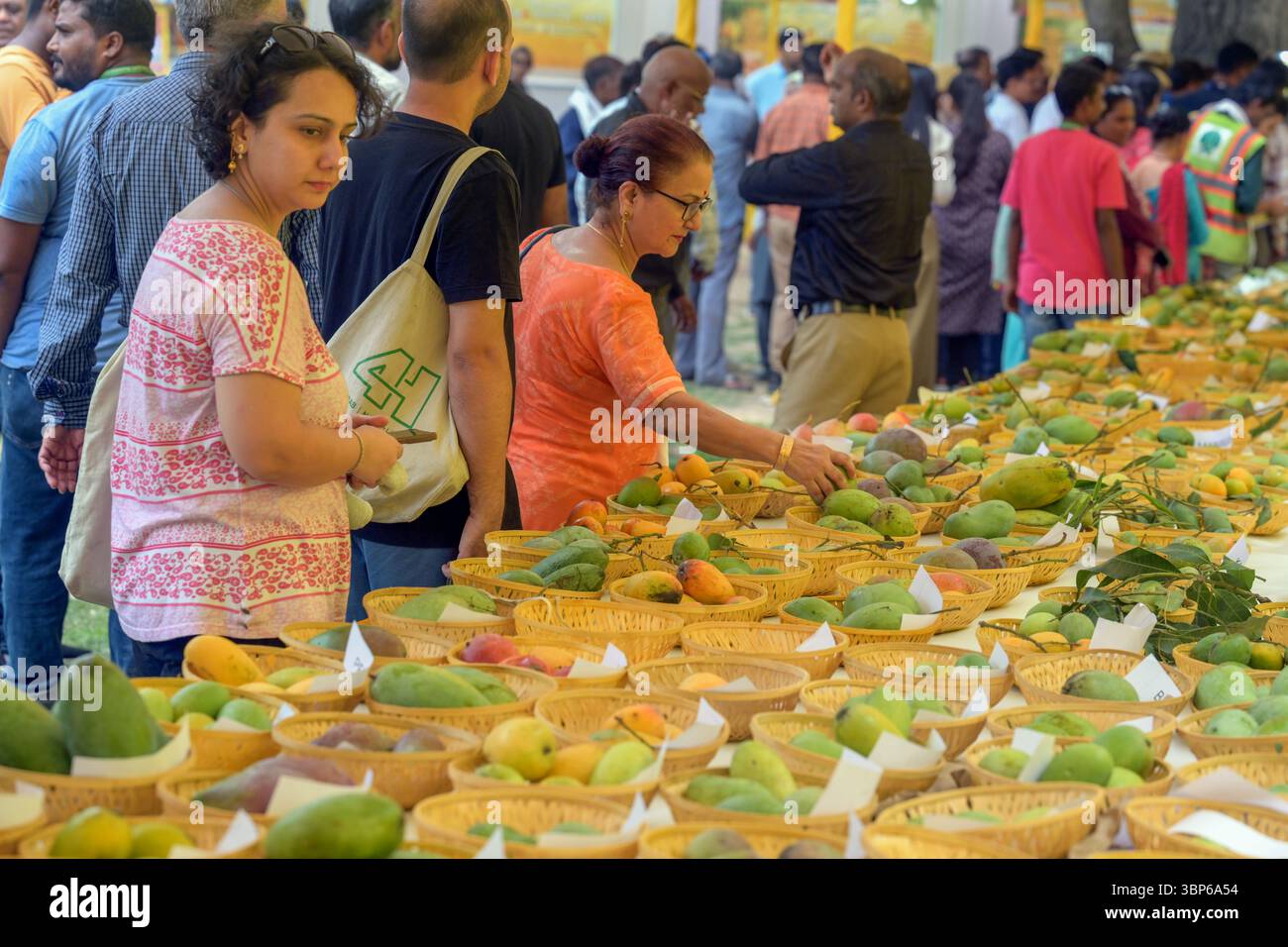 NEW DELHI, INDIA - JULY 5: Varieties of mangoes are displayed at the ...
